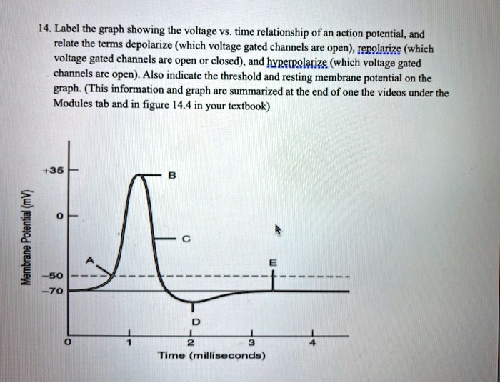 SOLVED: 14. Label the graph showing the voltage-vS. time relationship of an action potential ...