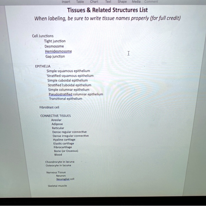 Insert Table Chart Text Shape Media Comment Tissues Related Structures ...