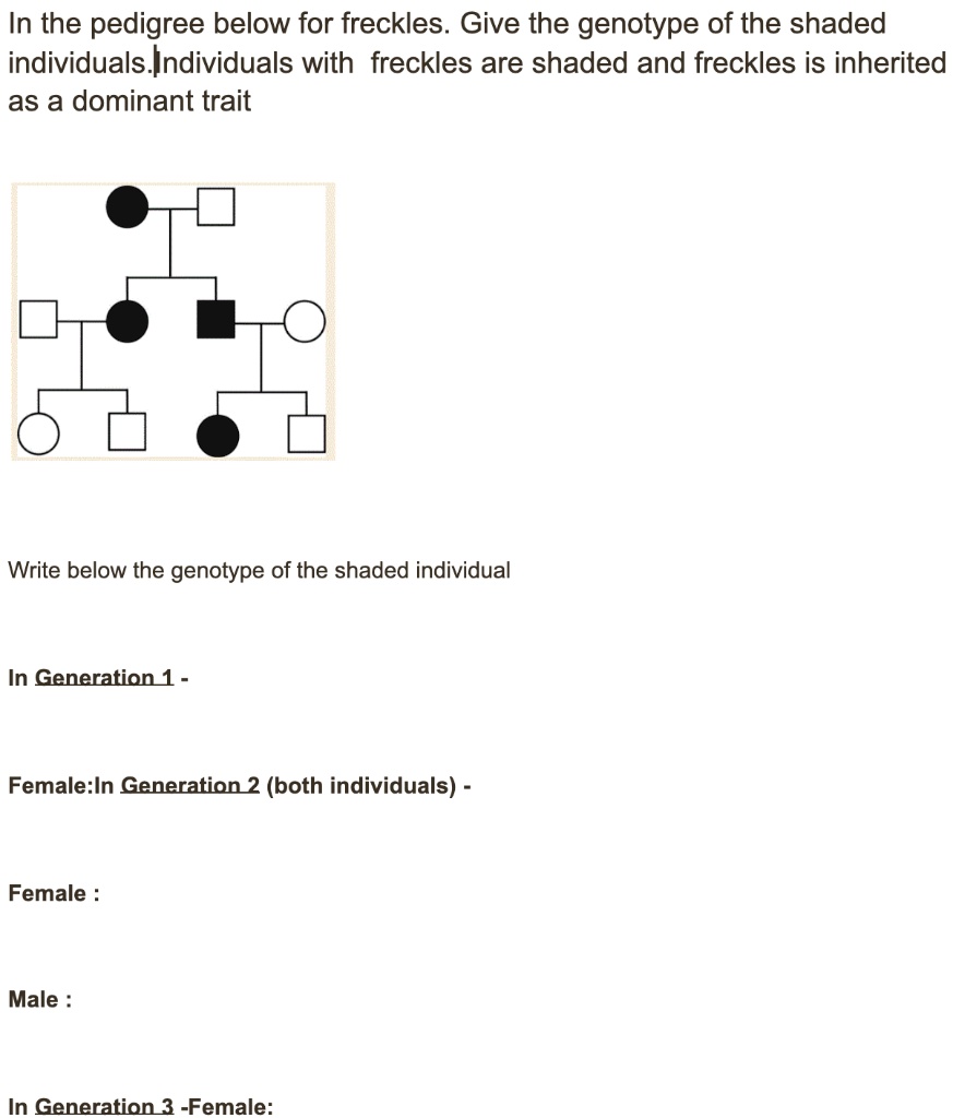 in the pedigree below for freckles give the genotype of the shaded ...