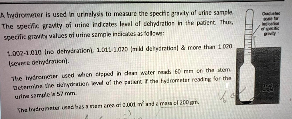 SOLVED: A hydrometer is used in urinalysis to measure the specific ...