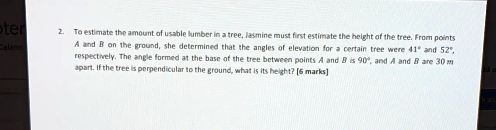 ter "i, ` To estimate the amount of usable lumber in a tree, Jasmine ...