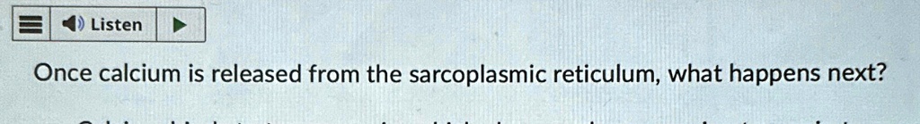 once calcium is released from the sarcoplasmic reticulum what happens ...