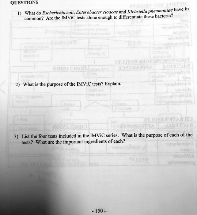 questions what do escherichia coli enterobacter cloacae and klebsiella ...