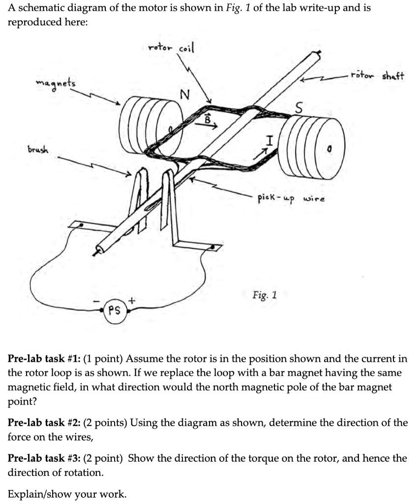 SOLVED: A schematic diagram of the motor is shown in Fig. 1 of the lab ...