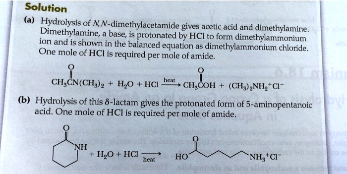 solution a dirdeolysis of nn dimethylacetamide gives acetic acid and ...