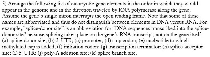 SOLVED: 5) Arrange the following list of eukaryotic gene elements in ...