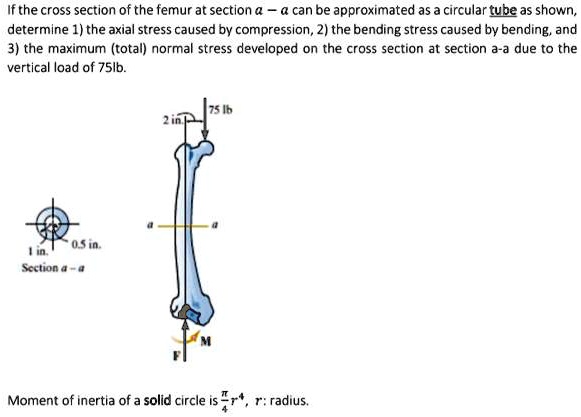 If the cross section of the femur at section a – a can be approximated ...