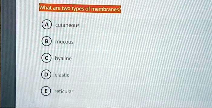 SOLVED: What are two types of membranes? A cutaneous B mucous C ...