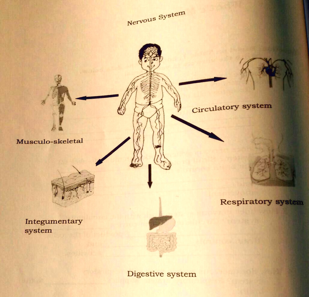 Solved 5 Based On The Illustration Below Explain How The Different