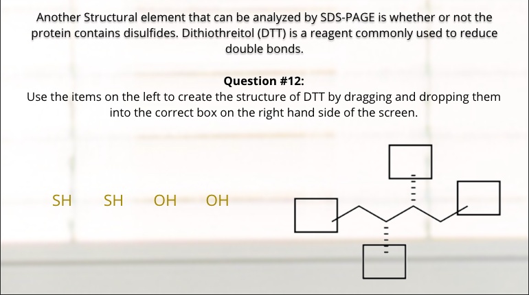 SOLVED: Another Structural element that can be analyzed by SDS-PAGE is ...