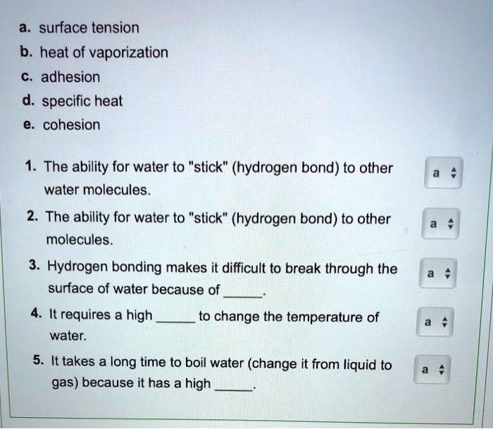 The Relationship Between Hydrogen Bonding And Surface Tension, Adhesion ...