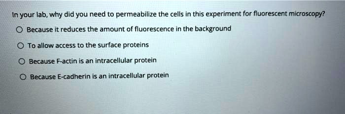 inyour lab why did you need to permeabilize the cells in this ...