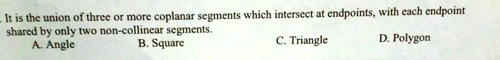SOLVED: It is the union of three or more coplanar segments which ...