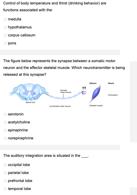 Control of body temperature and thirst (drinking behavior) are ...