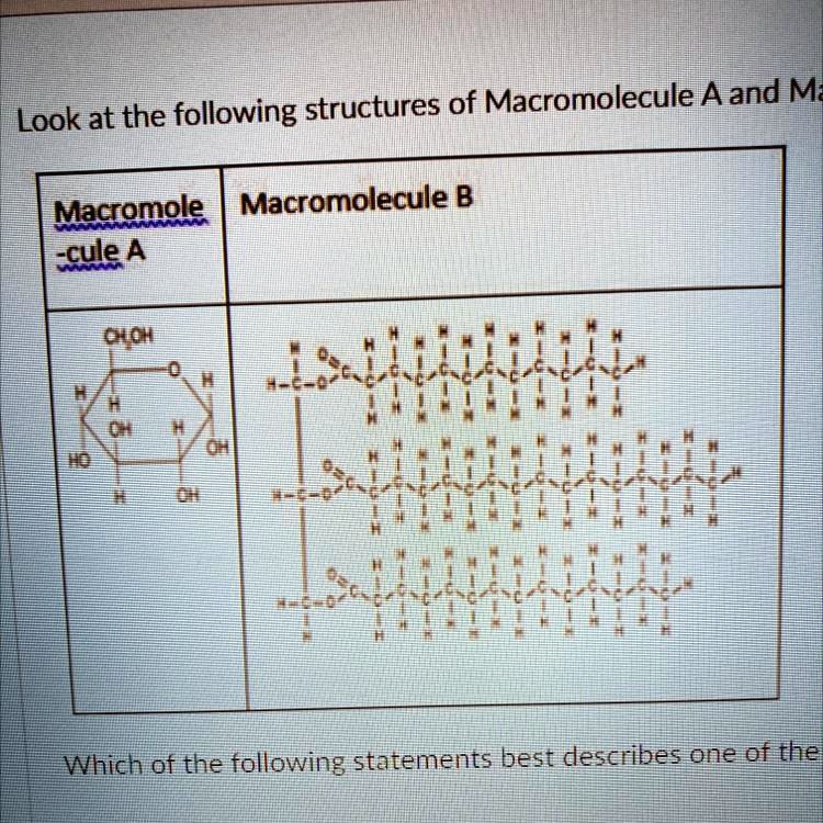 SOLVED: 'What macromolecules are a and b? answer choices: 1) lipid 2 ...
