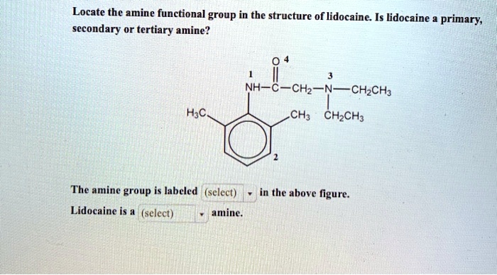 Solved Locate The Amine Functional Group In The Structure Of Lidocaine Is Lidocaine Primary