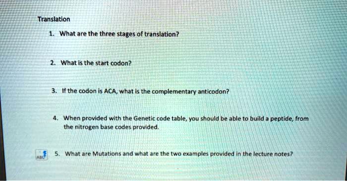 SOLVED: Translatlon What are the three stages of translation? What is ...