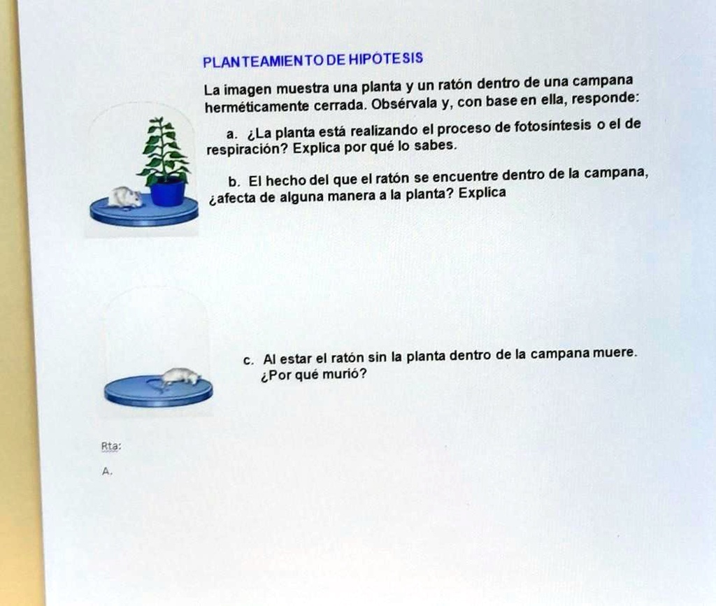 SOLVED: ayuda doy corona plisss PLANTEAMIENTODE HIPOTESIS La imagen ...