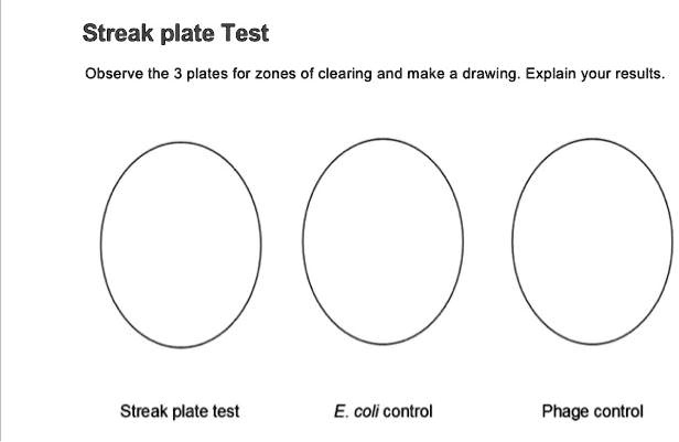 SOLVED: Streak plate Test Observe the plates for zones of clearing and ...