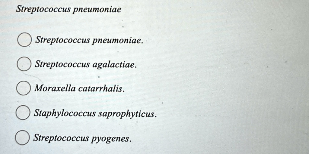 Streptococcus pneumoniae Streptococcus pneumoniae. Streptococcus ...