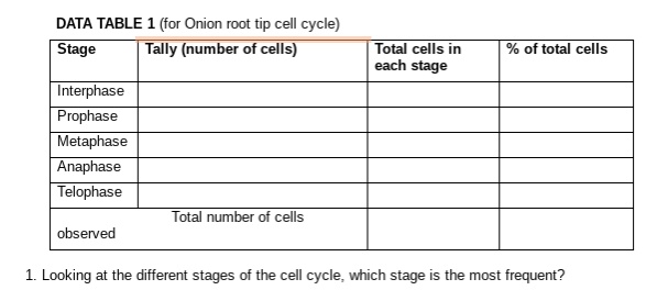 SOLVED: DATA TABLE (for Onion root tip cell cycle) Stage Tally (number ...