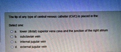 the tip of any type of central venous catheter cvc is placed in the ...