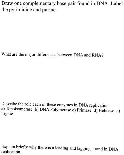 SOLVED: Draw one complementary base pair found in DNA. Label the pyrimidine and purine What are ...