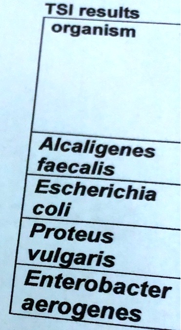 SOLVED: TSI results organism Alcaligenes faecalis Escherichia coli ...