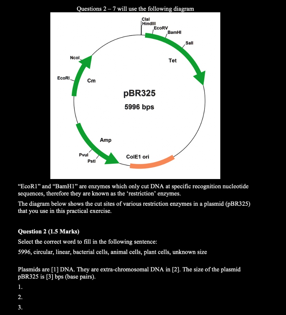 SOLVED: Plasmids are [1] circular DNA. They are extra-chromosomal DNA in [2] bacterial cells ...