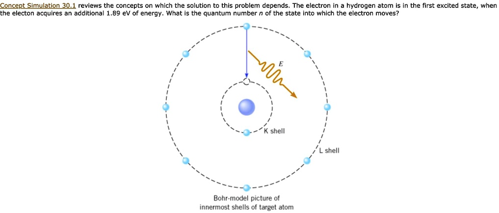 SOLVED: Concept Simulation 30.1 reviews the concepts on which the ...