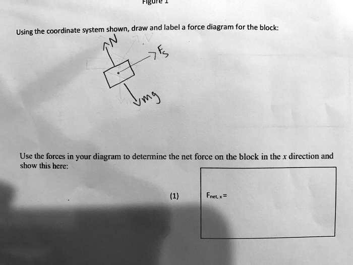 Buie using the coordinate system shown draw and label a...