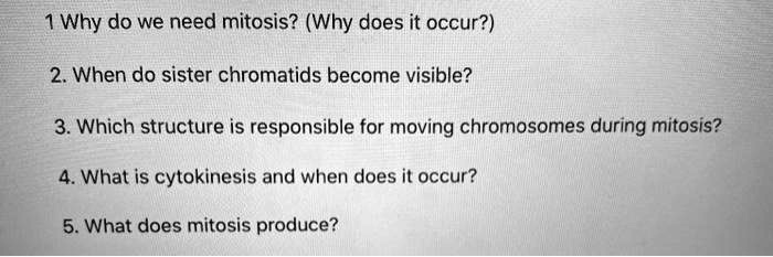 SOLVED: 1 Why do we need mitosis? (Why does it occur?) 2. When do ...
