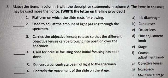 SOLVED: Match the items in column B with the descriptive statements in ...