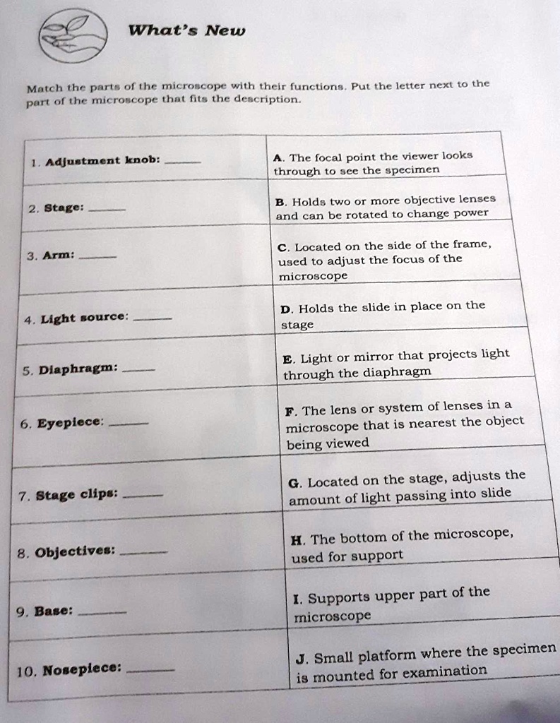 SOLVED: Match the parts of the microscope with their functions. Put the letter next to the part ...
