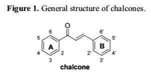 SOLVED: Please refer to Figure 1 in the paper. Identify all functional ...