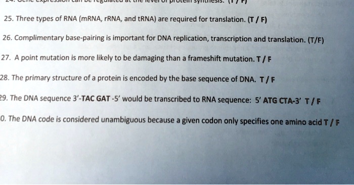 SOLVED: 25. Three types of RNA (mRNA,rRNA, and tRNA) are required for translation: (T / F) 26 ...