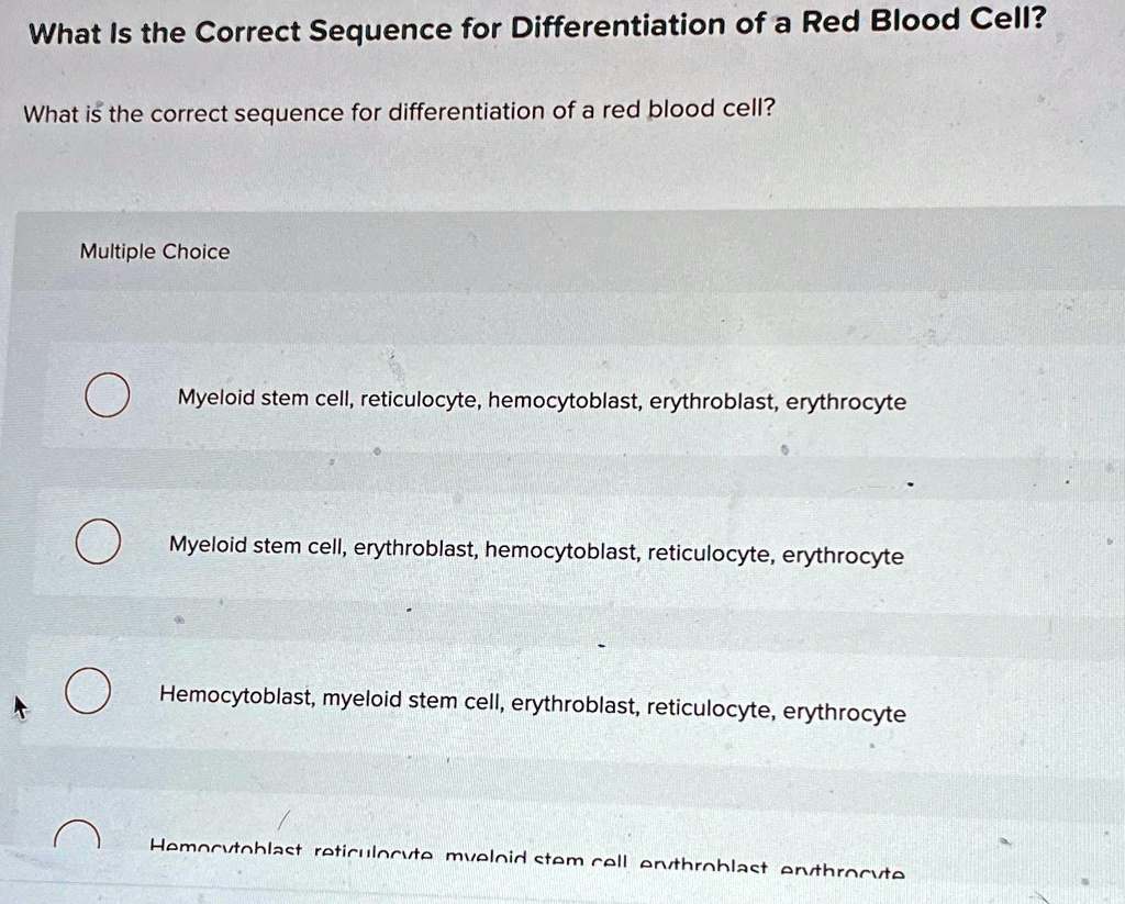 SOLVED: What Is the Correct Sequence for Differentiation of a Red Blood ...