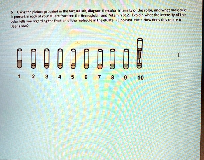 SOLVED: Using the picture provided in the Virtual Lab, diagram the ...
