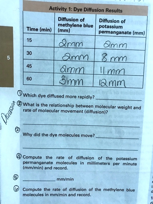 [GET ANSWER] Activity 1: Dye Diffusion Results Diffusion of Diffusion ...