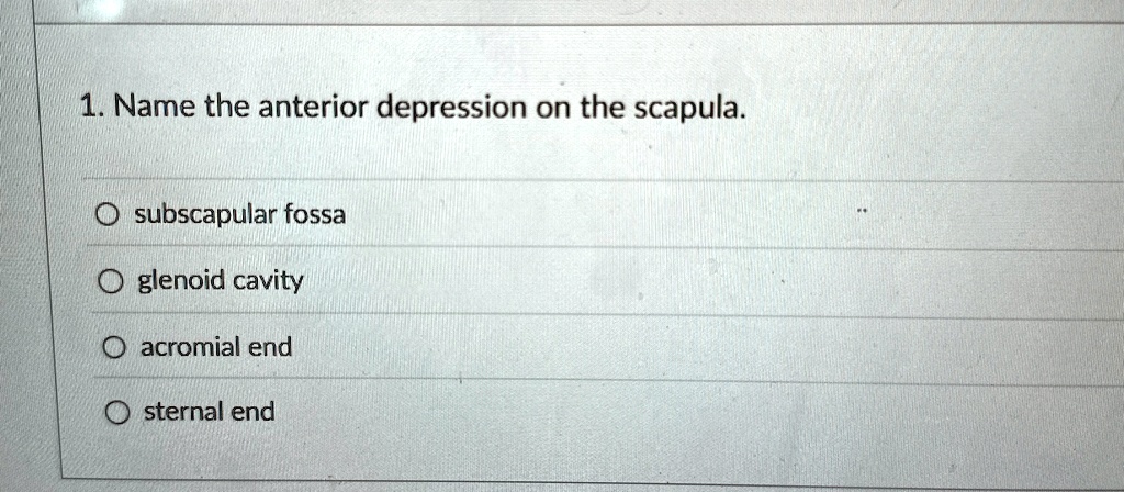 1 name the anterior depression on the scapula subscapular fossa glenoid ...