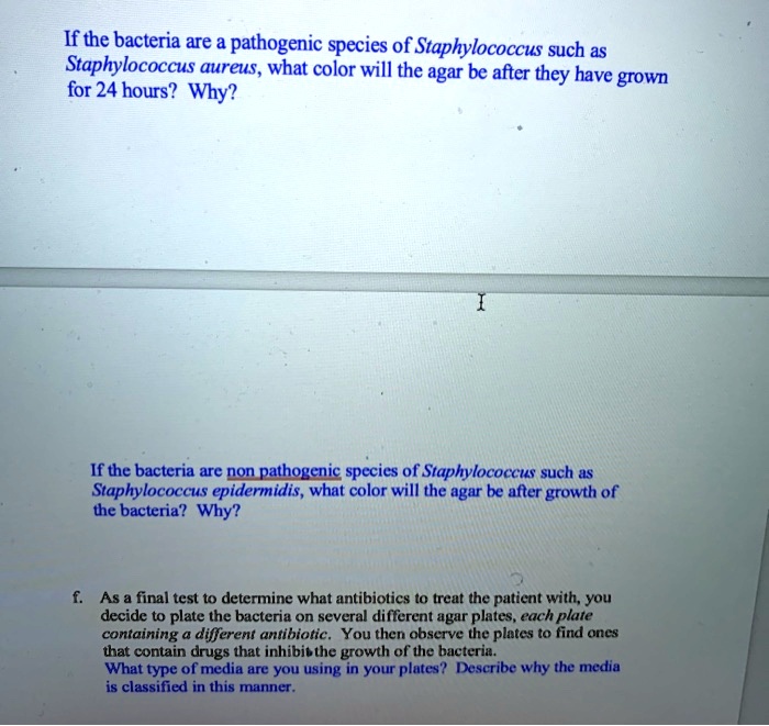 SOLVED: If the bacteria are a pathogenic species of Staphylococcus such ...
