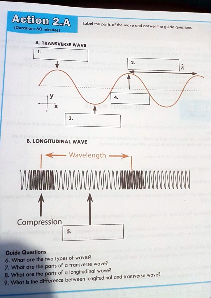 Action 2.A (Duration: 60 minutes) Label the parts of the wave and ...