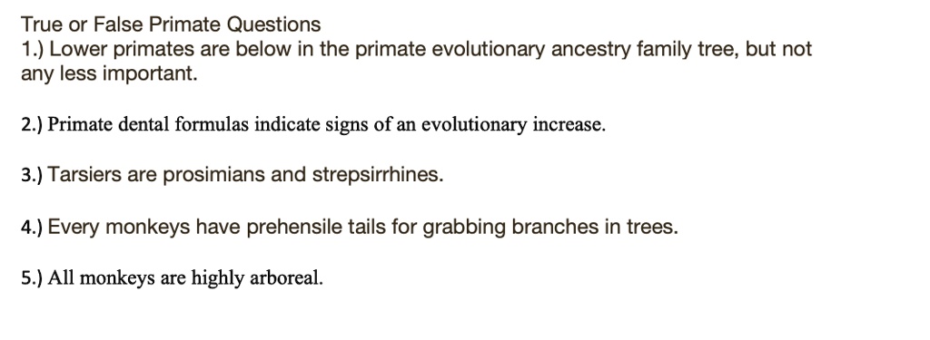 true or false primate questions 1 lower primates are below in the ...