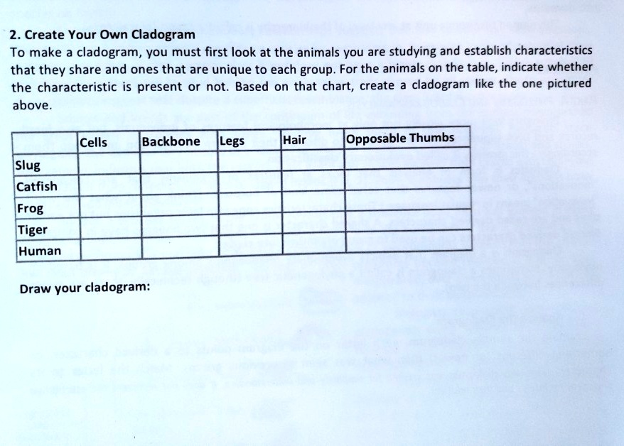 2. Create Your Own Cladogram To make a cladogram, you must first look ...