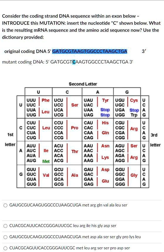 consider the coding strand dna sequence within an exon below introduce this mutation insert the ...
