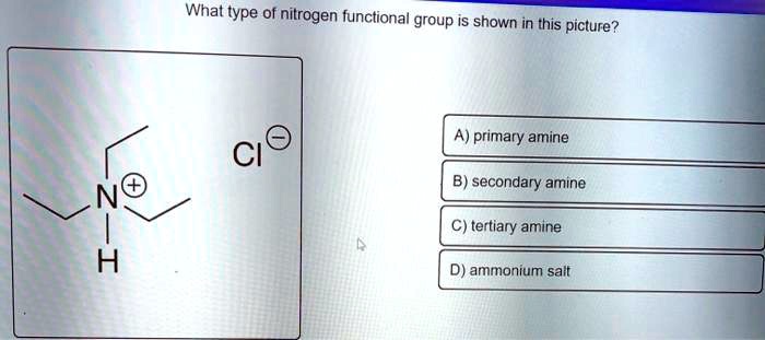 SOLVED: What type of nitrogen functional group is shown in this picture ...