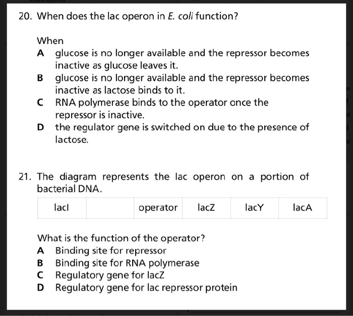 SOLVED: 20 When does the lac operon in E coli function? When glucose is ...