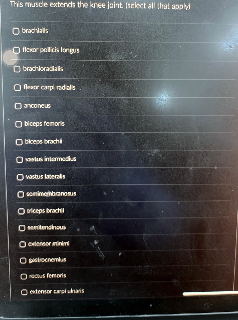 This muscle extends the knee joint. (select all that apply) ?brachialis ...
