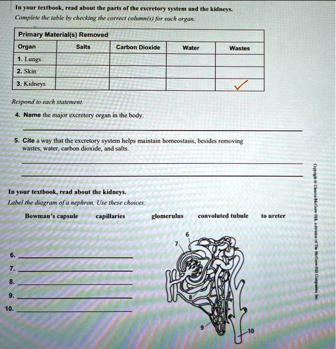 SOLVED: The Excretory System In your textbook, read about the parts of ...