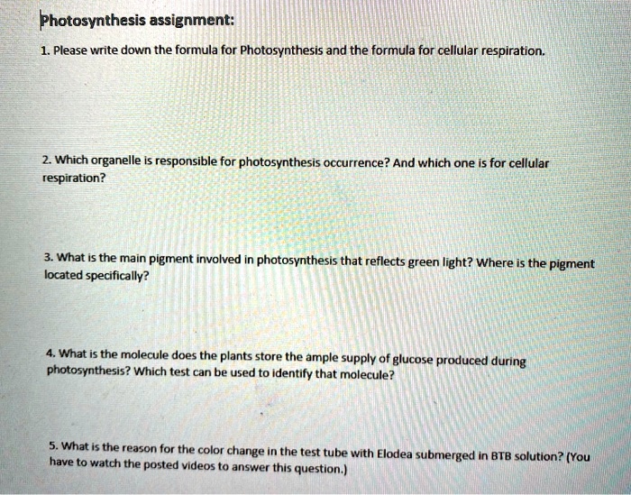 photosynthesis assignment 1 please wnite down the formula for ...